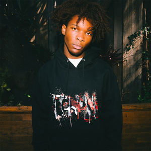 All - d4vd official store