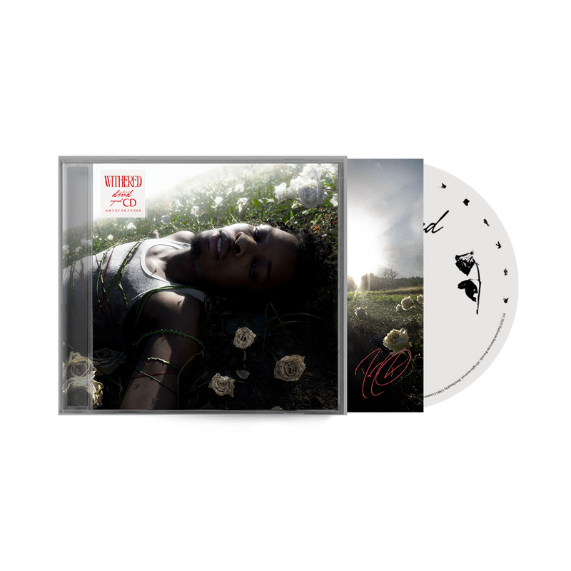 Tour - d4vd official store