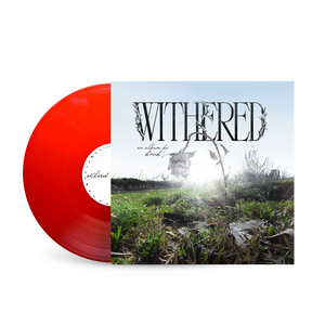 d4vd official store - d4vd official store