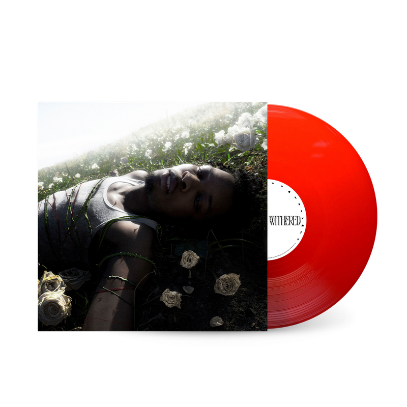 d4vd official store - d4vd official store