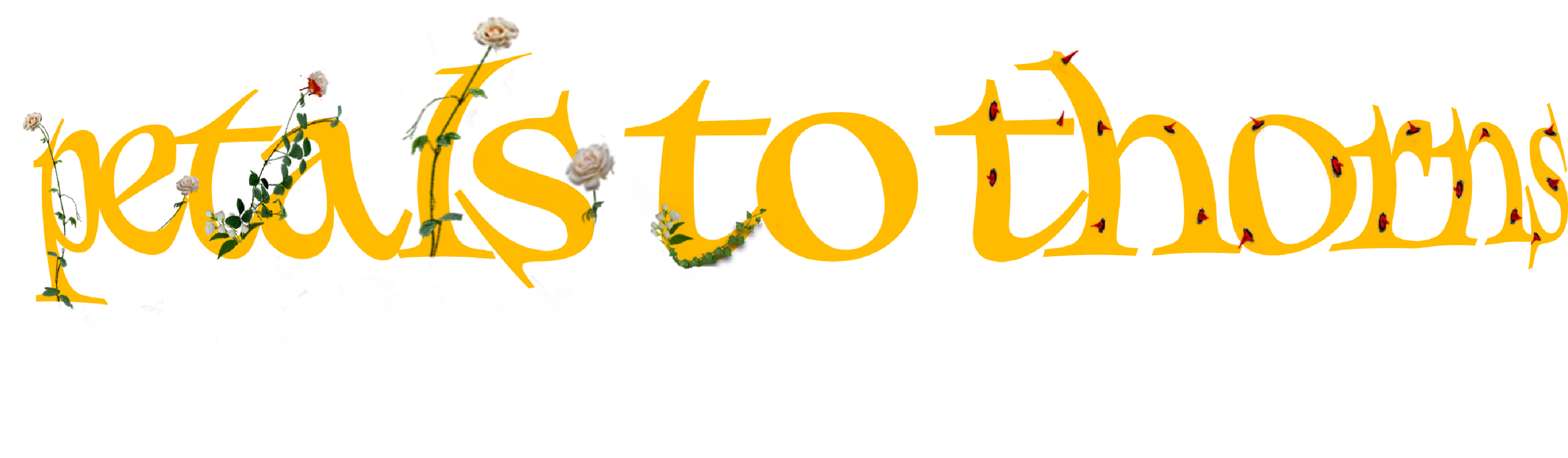d4vd official store